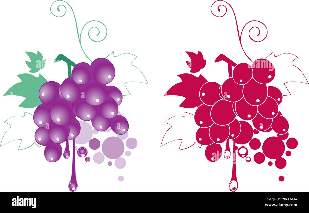 Grapes Graphic Design