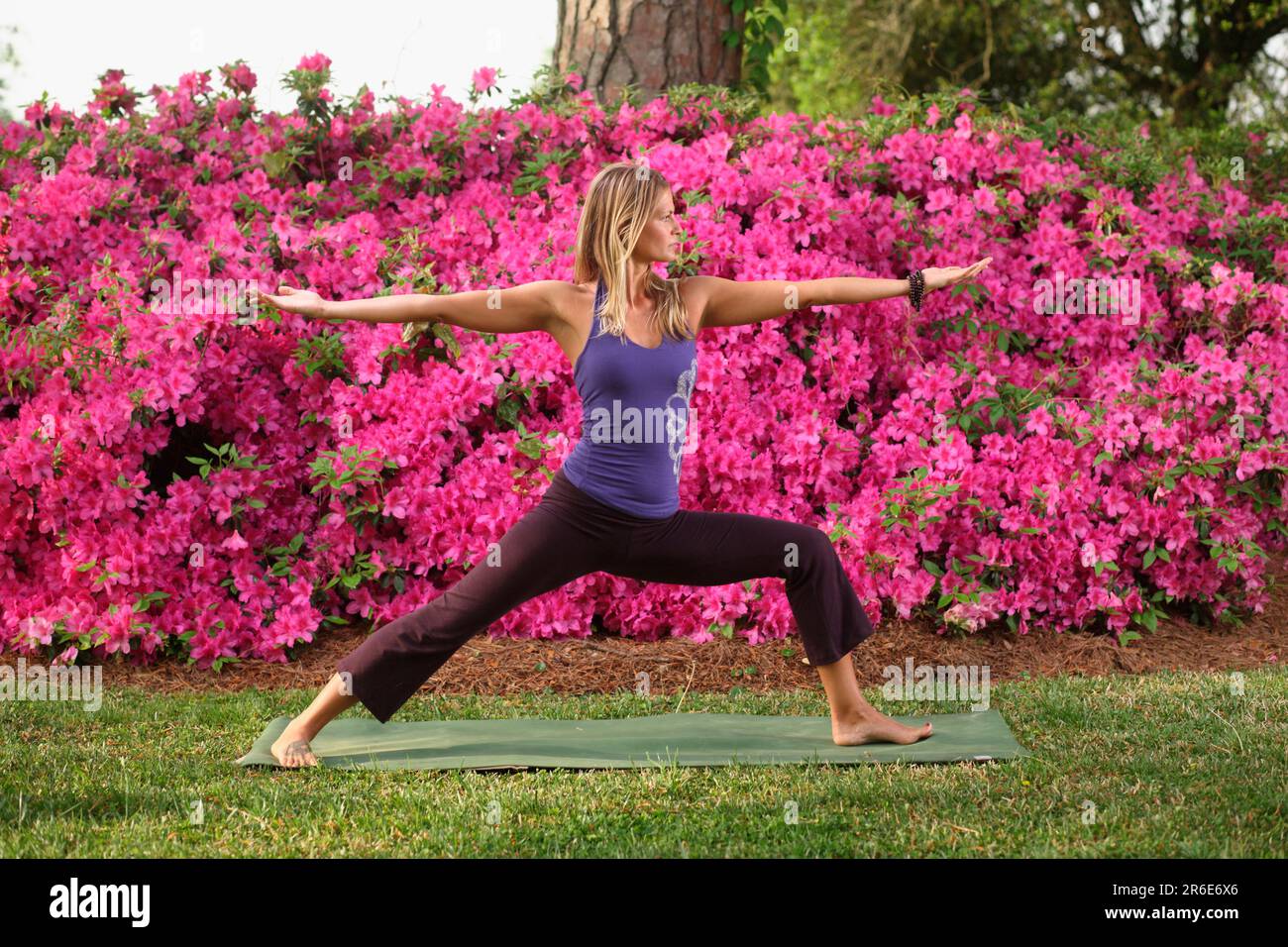 A woman practices yoga outdoors in front of an azalea bush with flowers ...