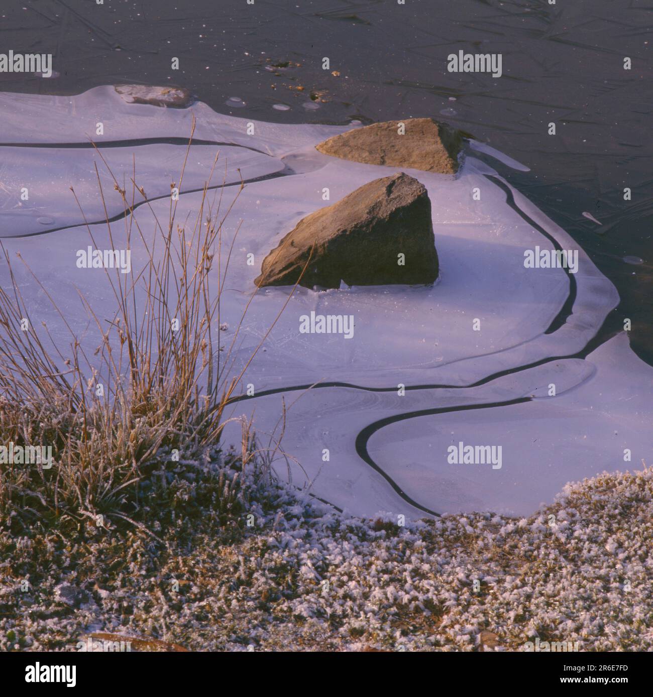 Ice formation on the shore, icy pond, ice formation on the lakeshore ...