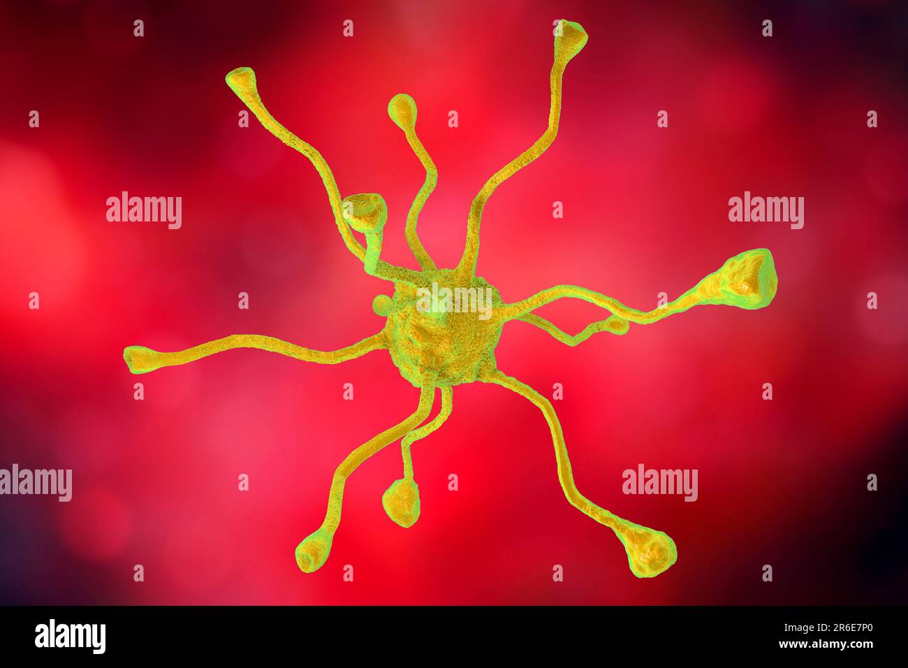 Nerve cell of the human brain, neuron, computer illustration Stock ...