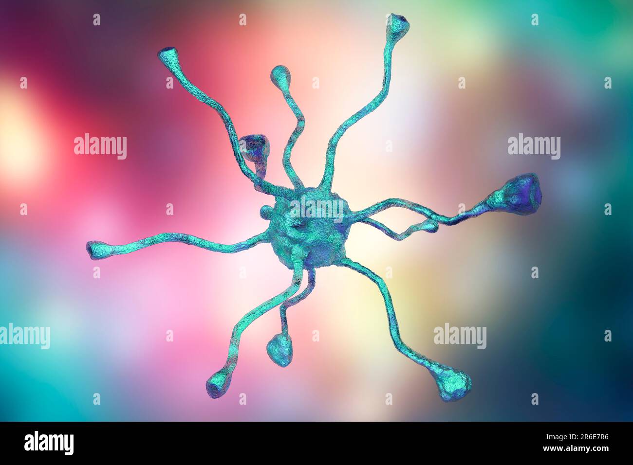 Nerve cell of the human brain, neuron, computer illustration Stock ...