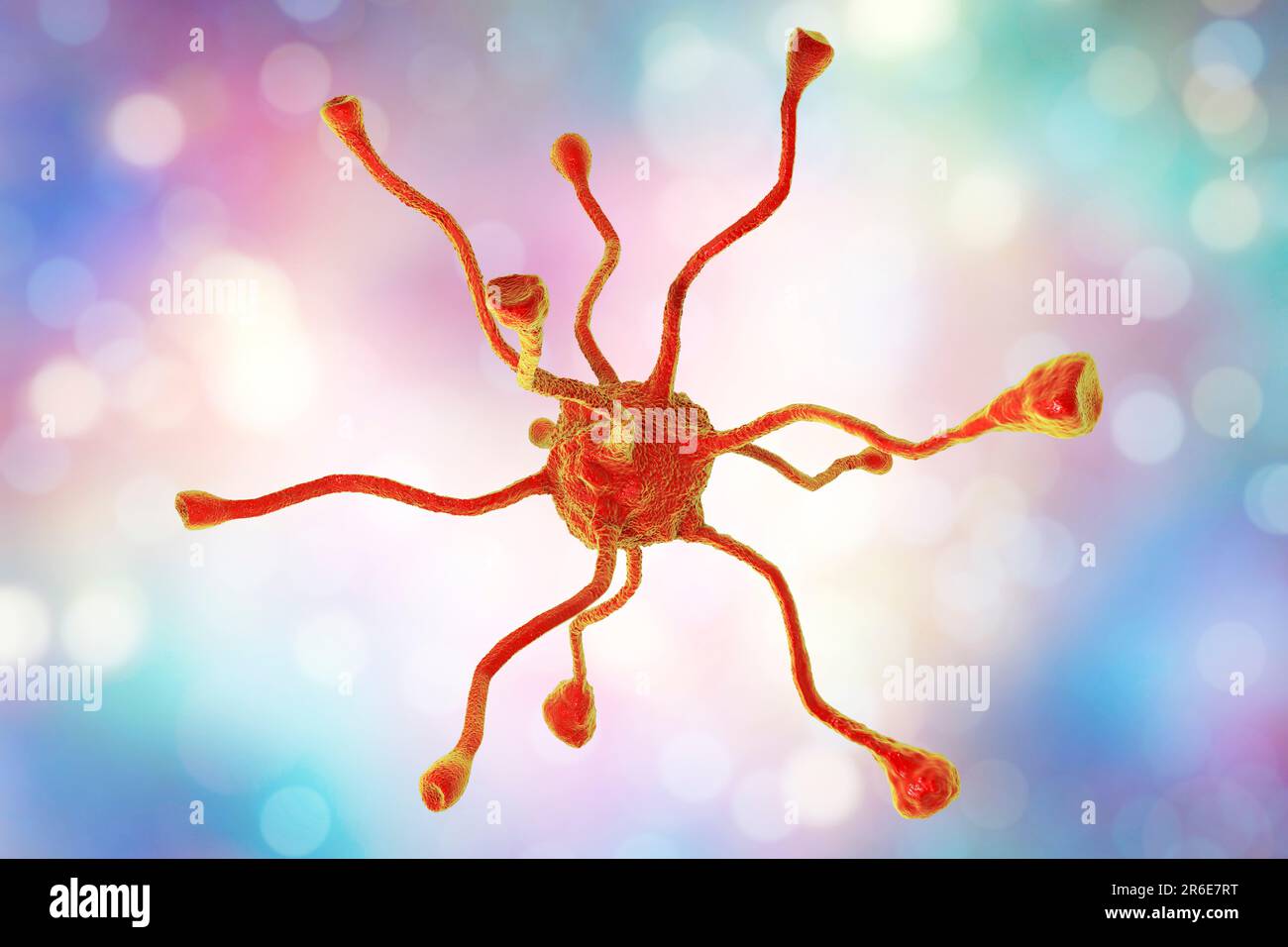 Nerve cell of the human brain, neuron, computer illustration Stock ...