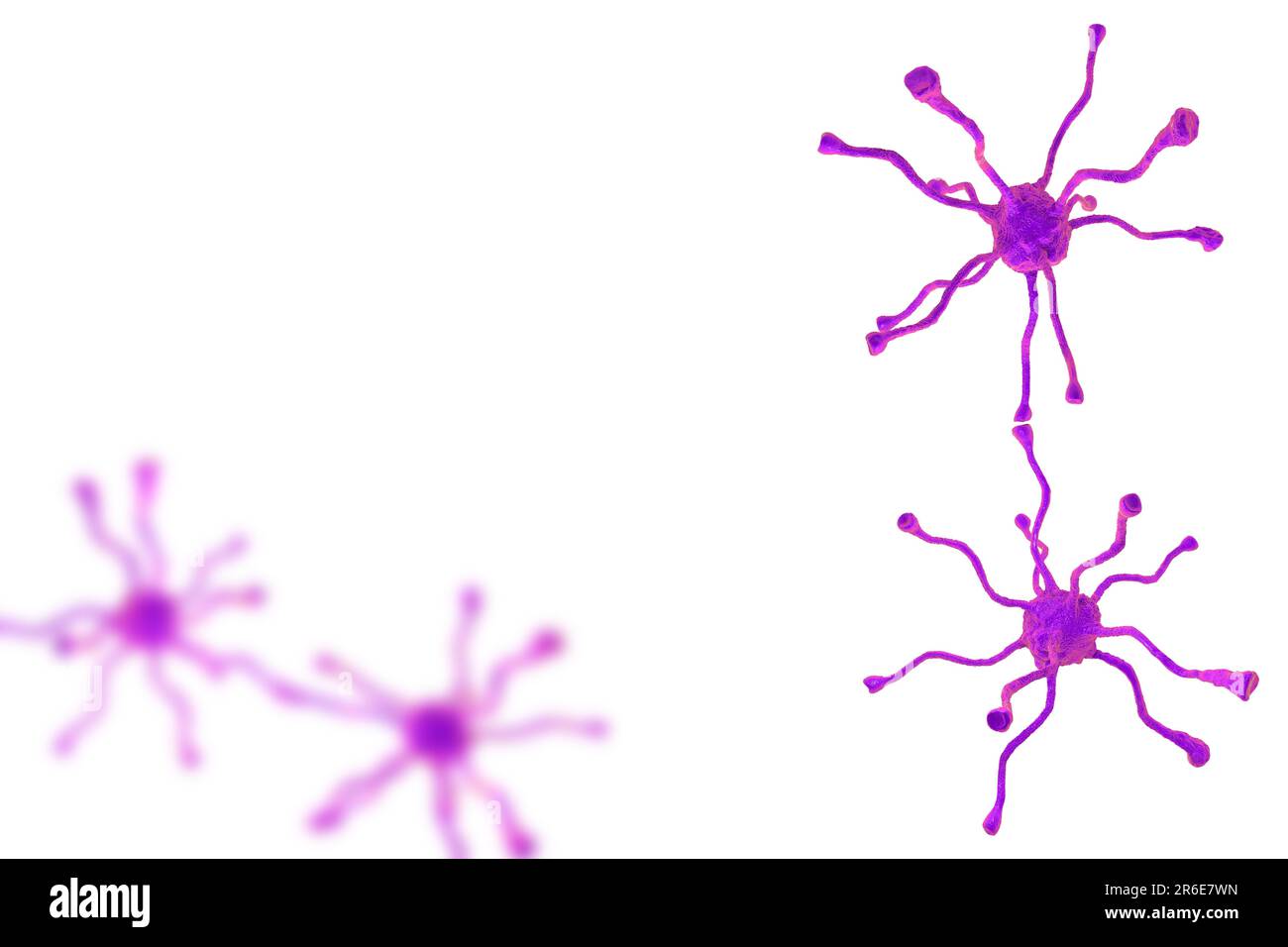 Nerve cells of the human brain, neurons, computer illustration Stock ...