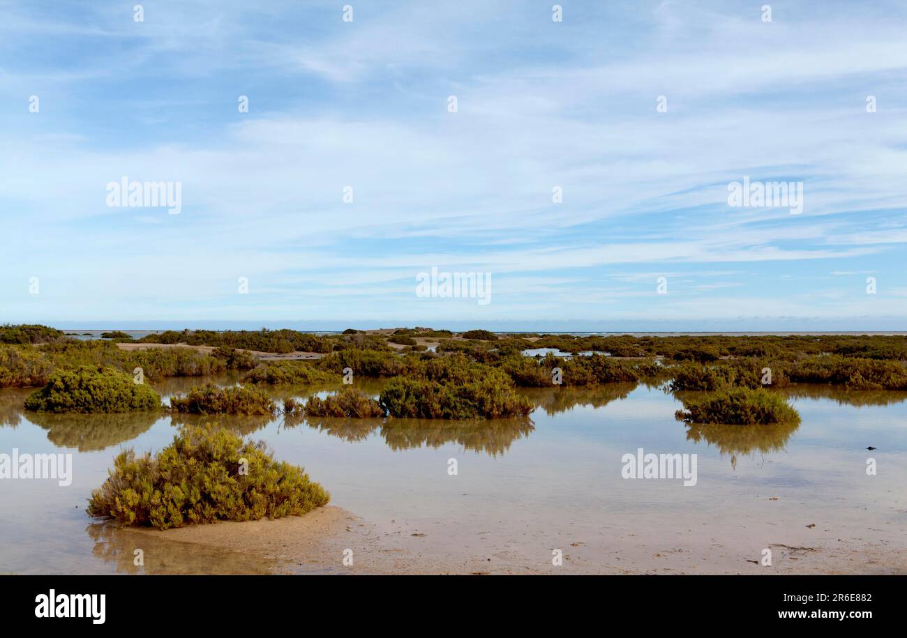 The salt marshes at Playa Barca, Fuerteventura Stock Photo - Alamy