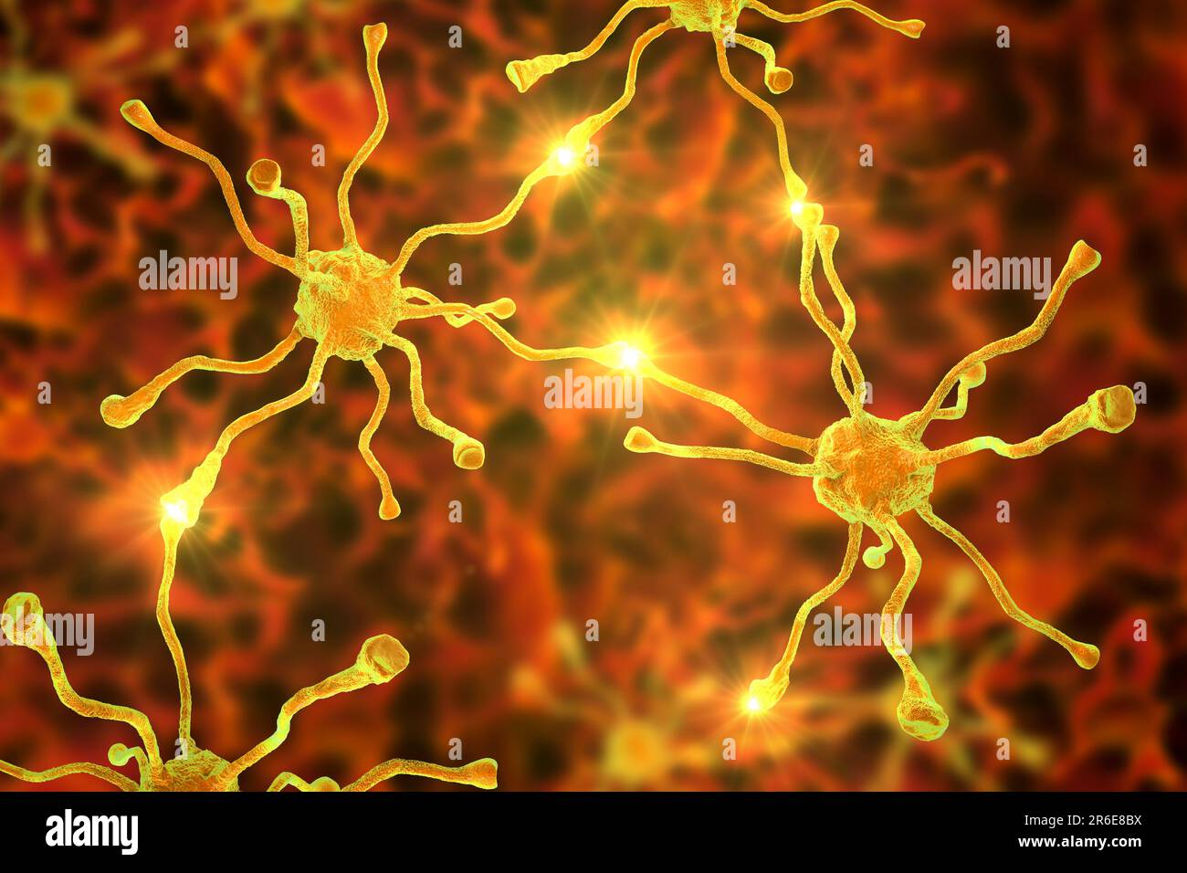 Nerve cells of the human brain, neurons, computer illustration Stock ...