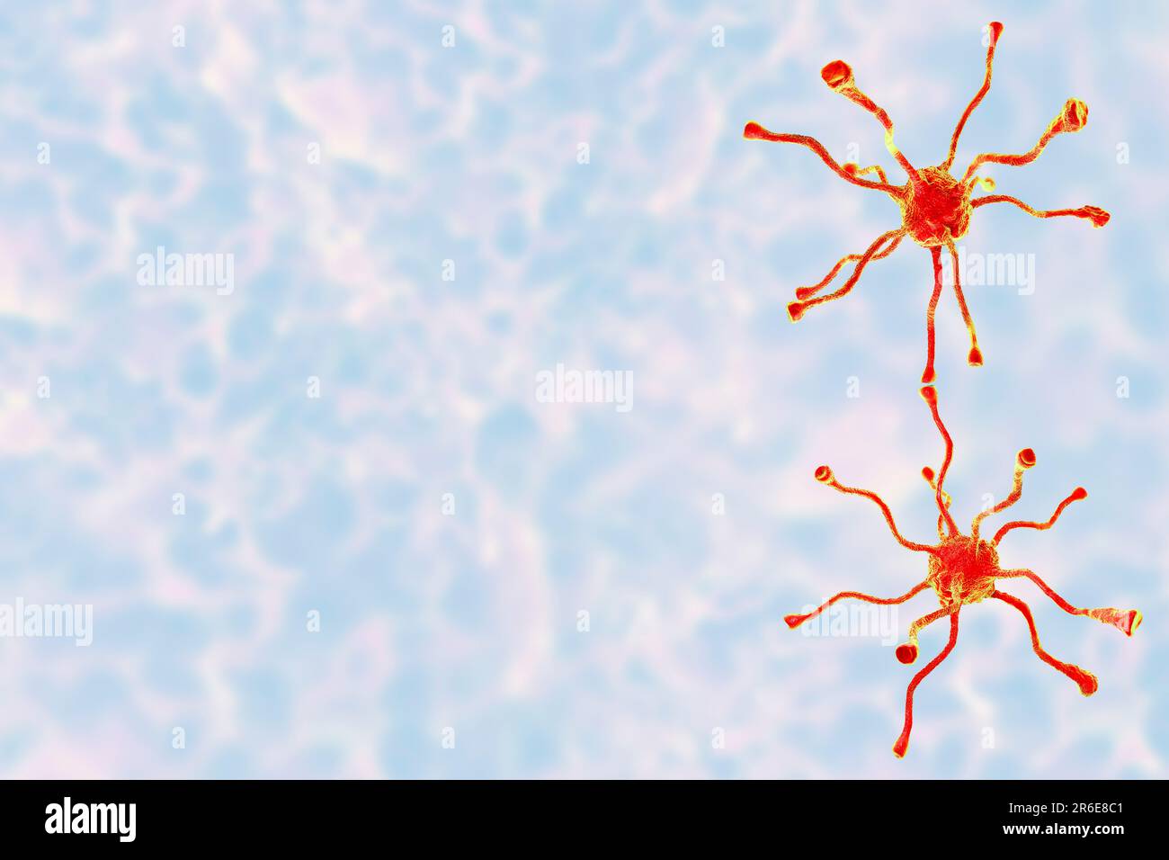 Nerve cells of the human brain, neurons, computer illustration Stock ...