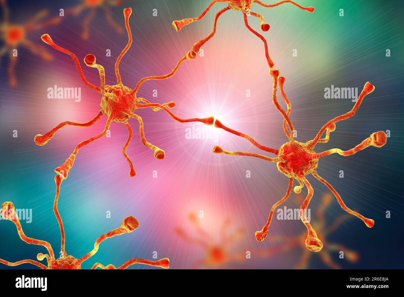 Nerve cells of the human brain, neurons, computer illustration Stock ...
