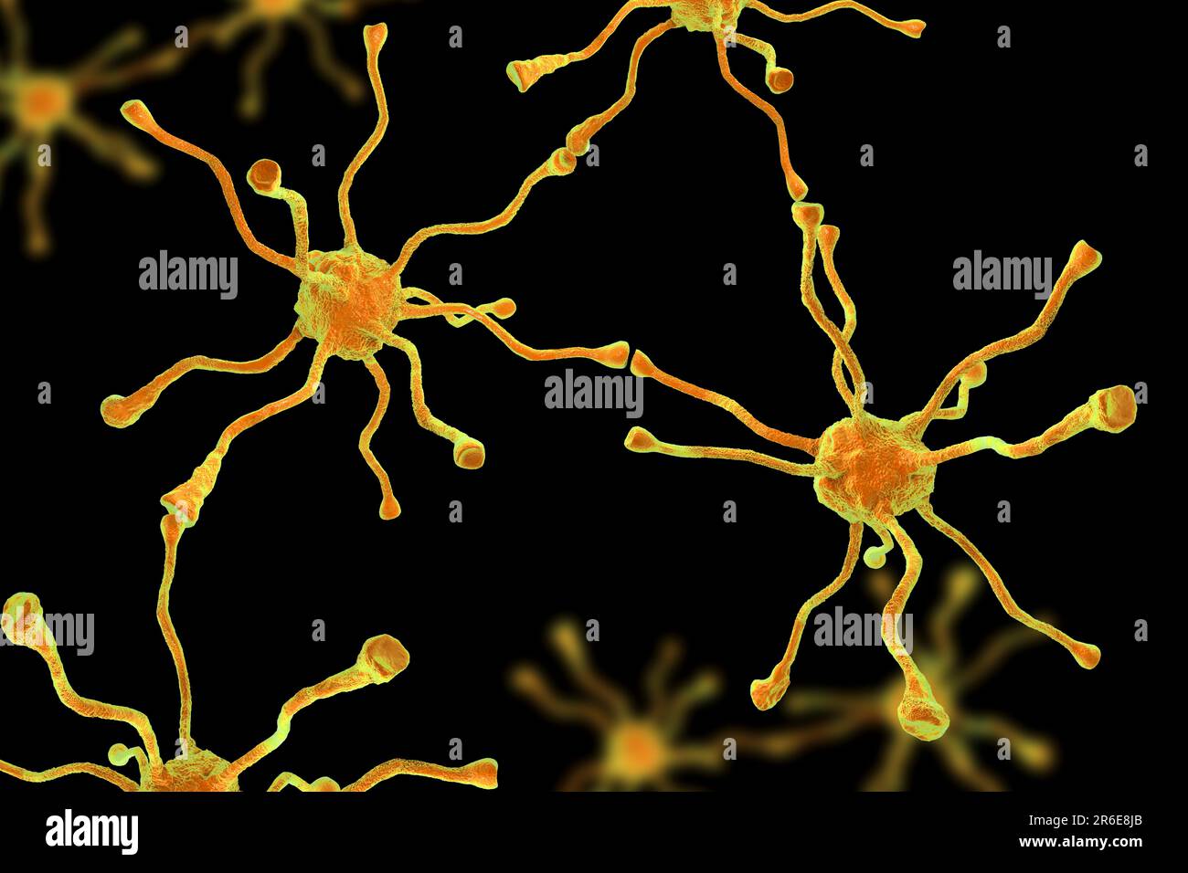 Nerve cells of the human brain, neurons, computer illustration Stock ...