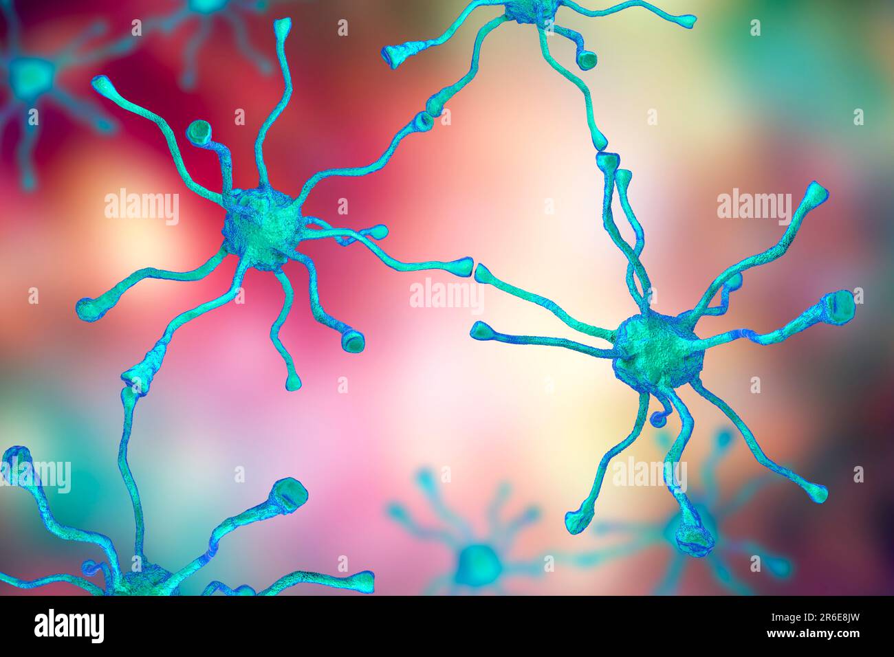 Nerve cells of the human brain, neurons, computer illustration Stock ...