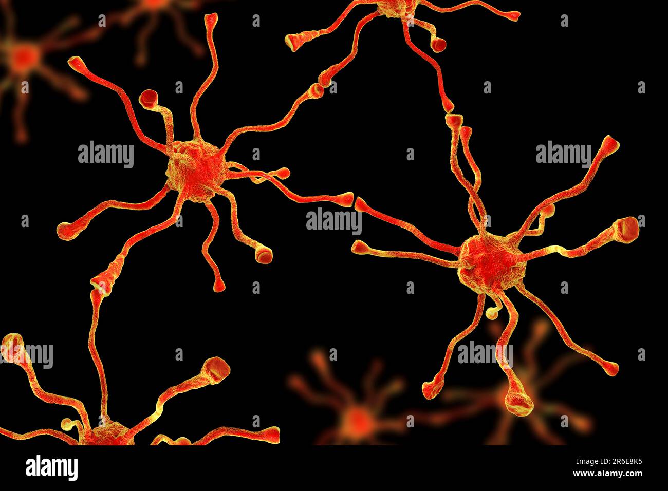 Nerve cells of the human brain, neurons, computer illustration Stock ...