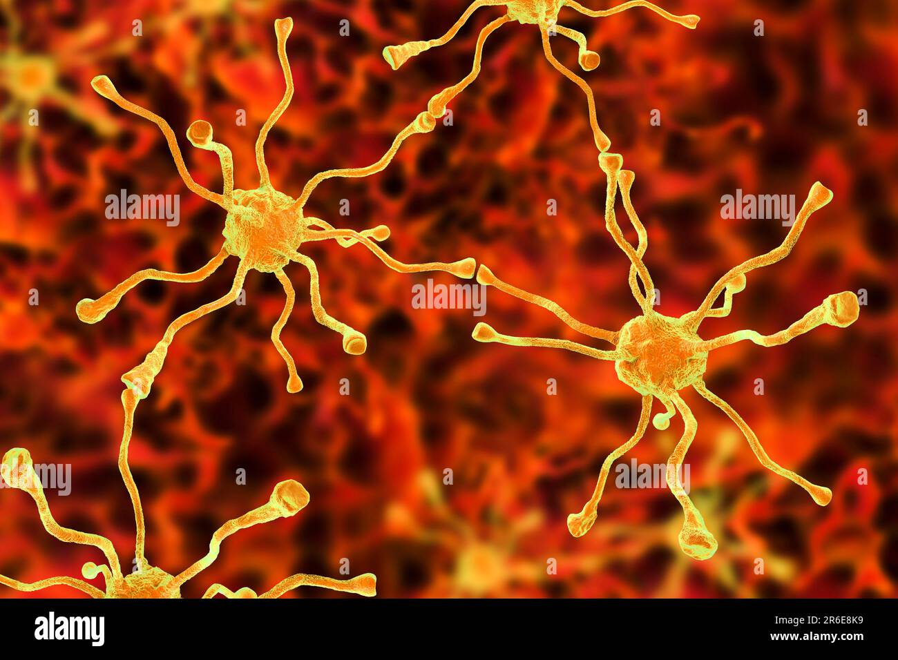 Nerve cells of the human brain, neurons, computer illustration Stock ...