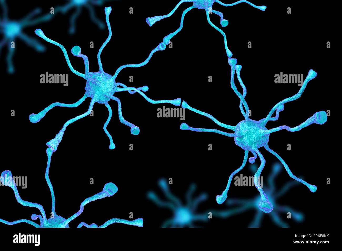 Nerve cells of the human brain, neurons, computer illustration Stock ...