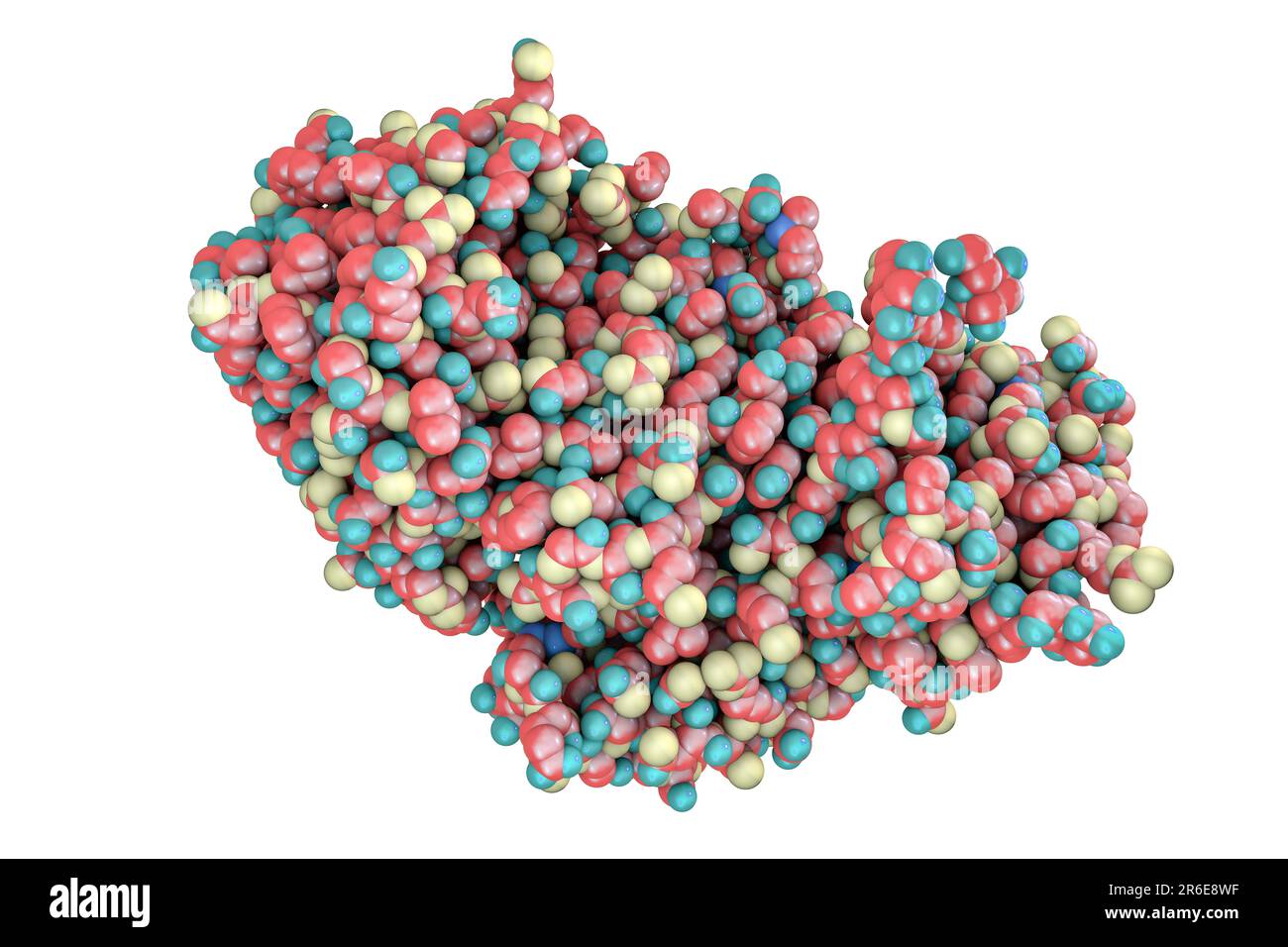 Ricin. Computer model of a molecule of the toxic protein ricin. It ...
