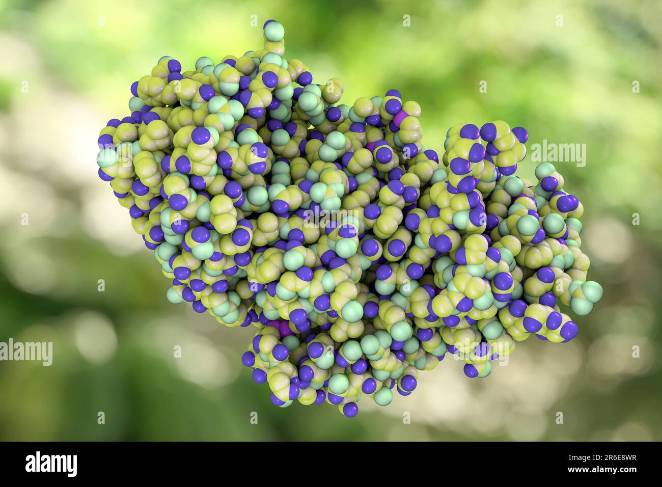 Ricin. Computer model of a molecule of the toxic protein ricin. It ...