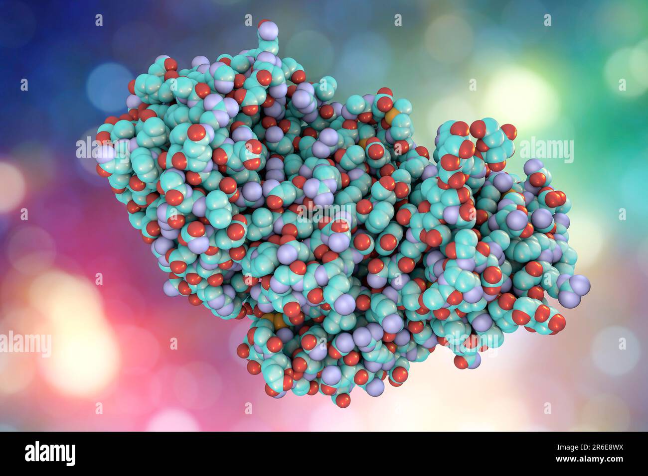 Ricin. Computer model of a molecule of the toxic protein ricin. It ...