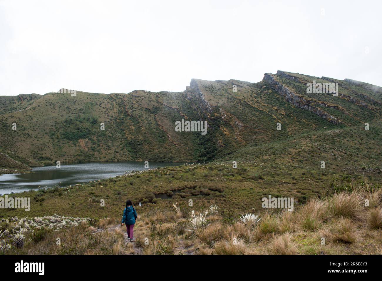 Woman walking through paramo mountain path in a cloudy day Stock Photo ...