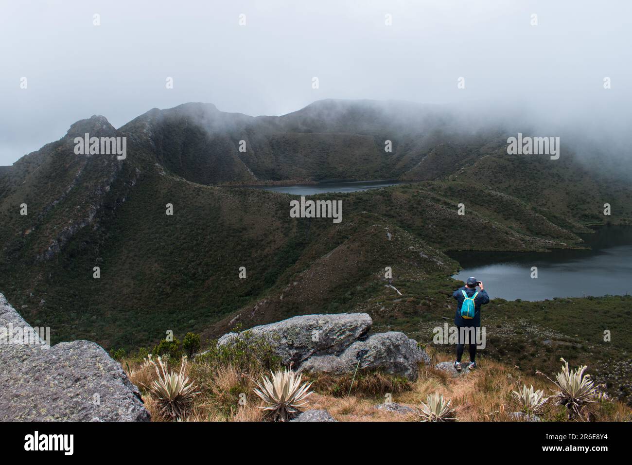 Frailejon paramo hi-res stock photography and images - Alamy