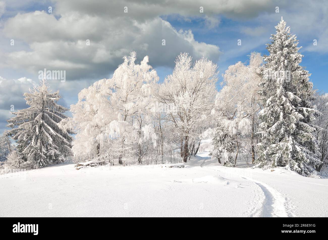 Winter Landscape in the Bavarian Forest, Germany Stock Photo - Alamy