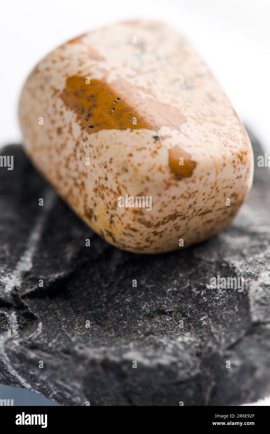 Natural stone jasper shines in beautiful colours on a white background ...