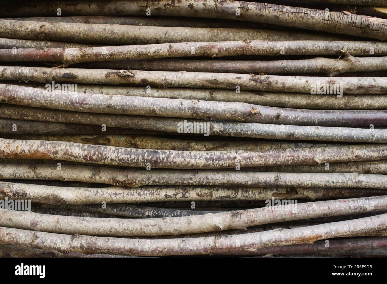 Pile of twigs and branches hi-res stock photography and images - Alamy