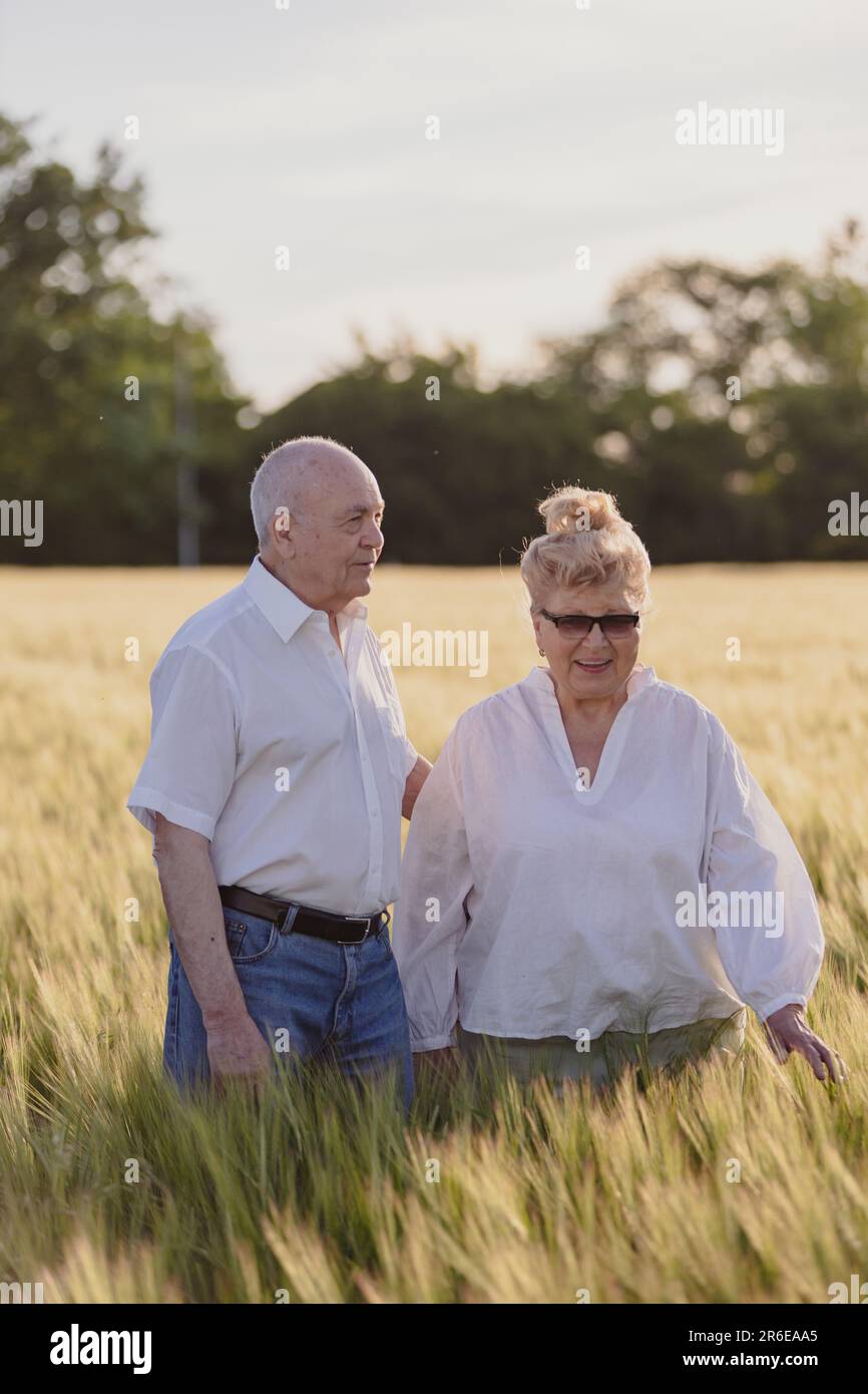 happy elderly people in wheat field walking in nature, elderly couple ...