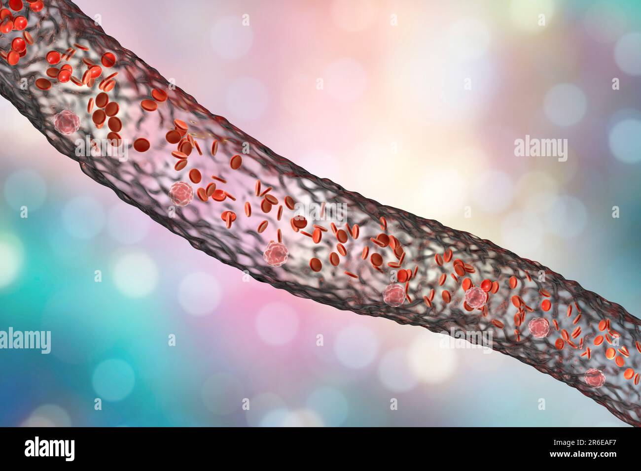 Blood vessel with blood cells, side view, computer illustration. Red ...