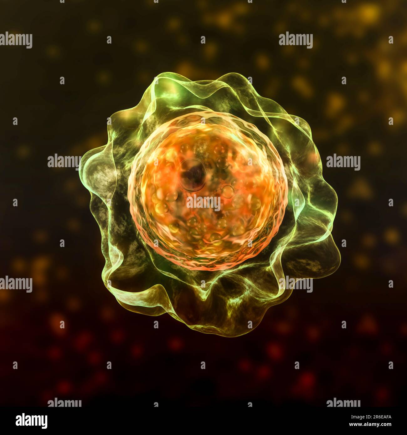 Balamuthia mandrillaris amoeba, computer illustration. This is the ...