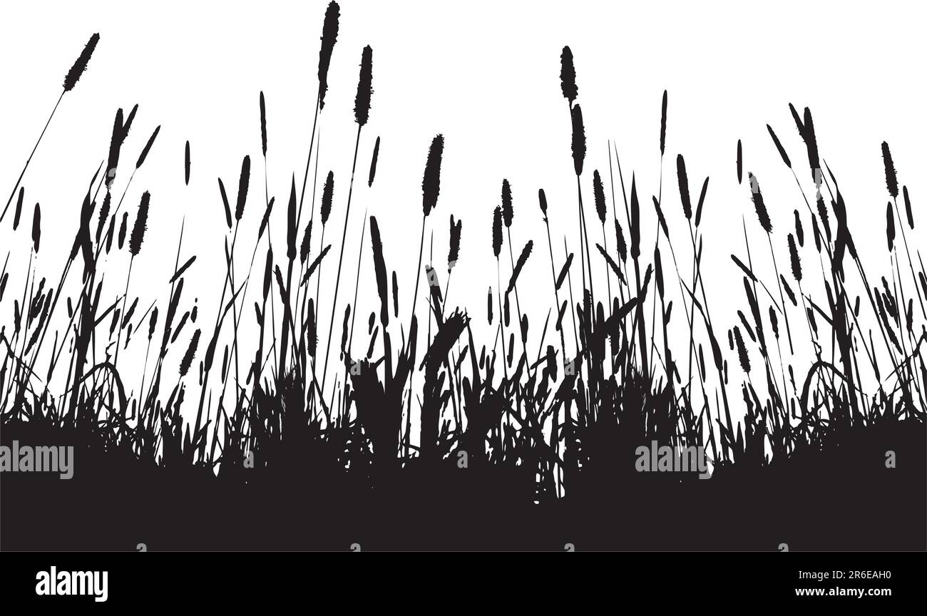 real grass vector silhouette / on white background Stock Vector Image ...