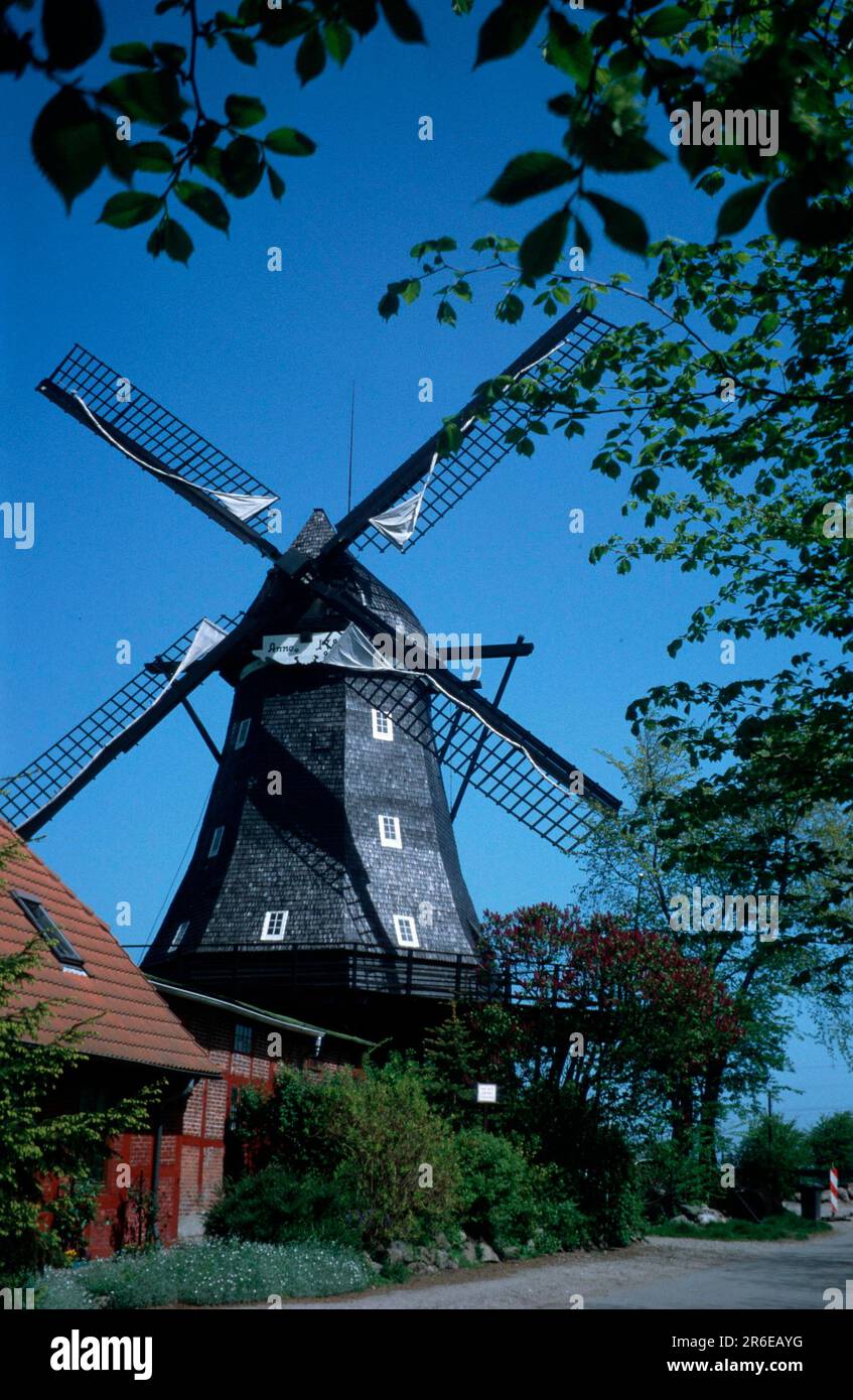 Windmill, Mill and Agriculture Museum, Lemkenhafen, Fehmarn, Schleswig ...