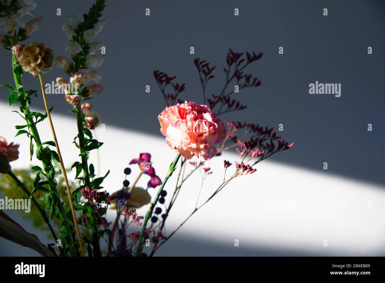 Light bloom hi-res stock photography and images - Alamy