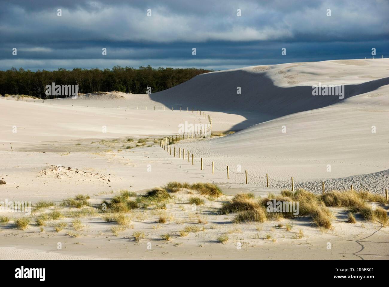Travelling Dune, Slowinski, Slowinski National Park, Leba, Pomerania ...