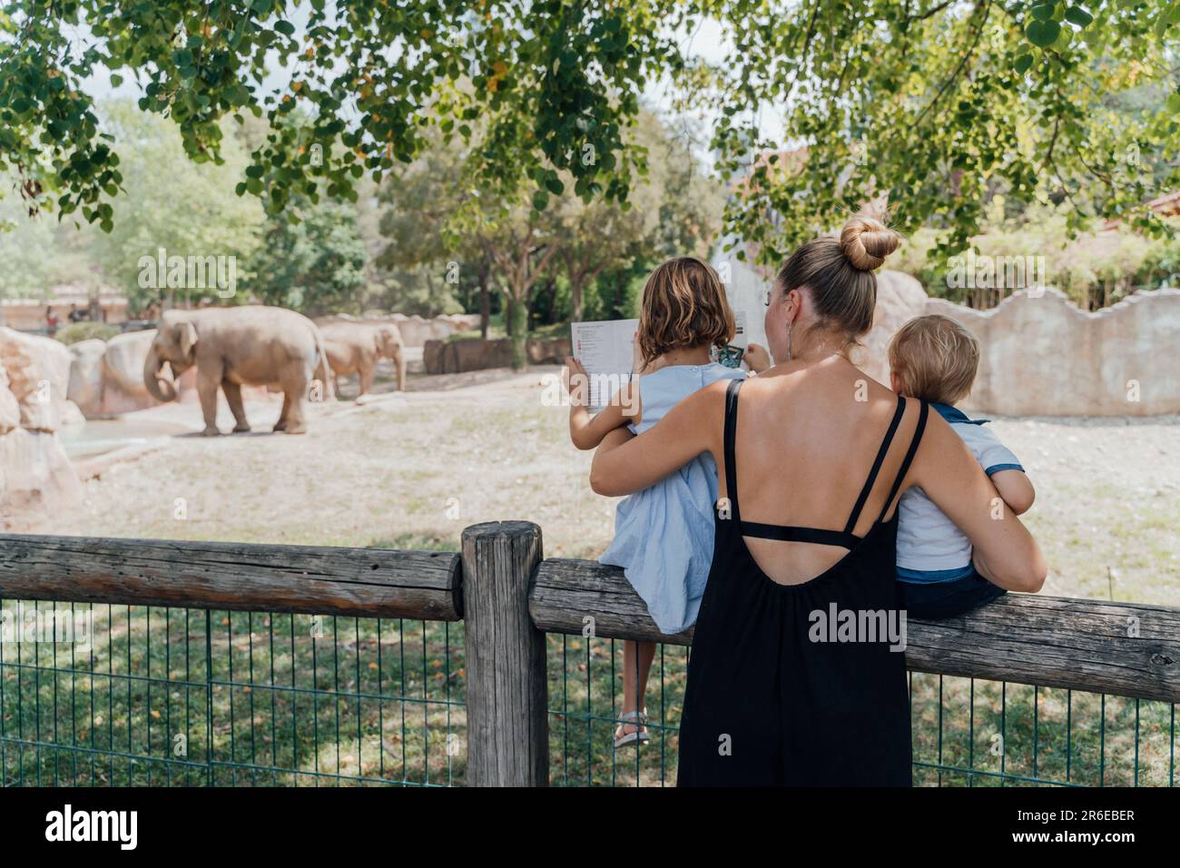 Woman with two children looking at animals in the zoo, back view Stock ...