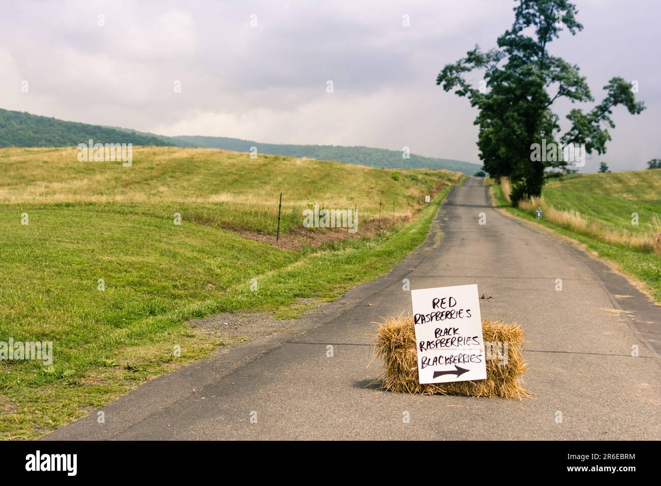 Farm sign pointing to berry fields on country road Stock Photo - Alamy