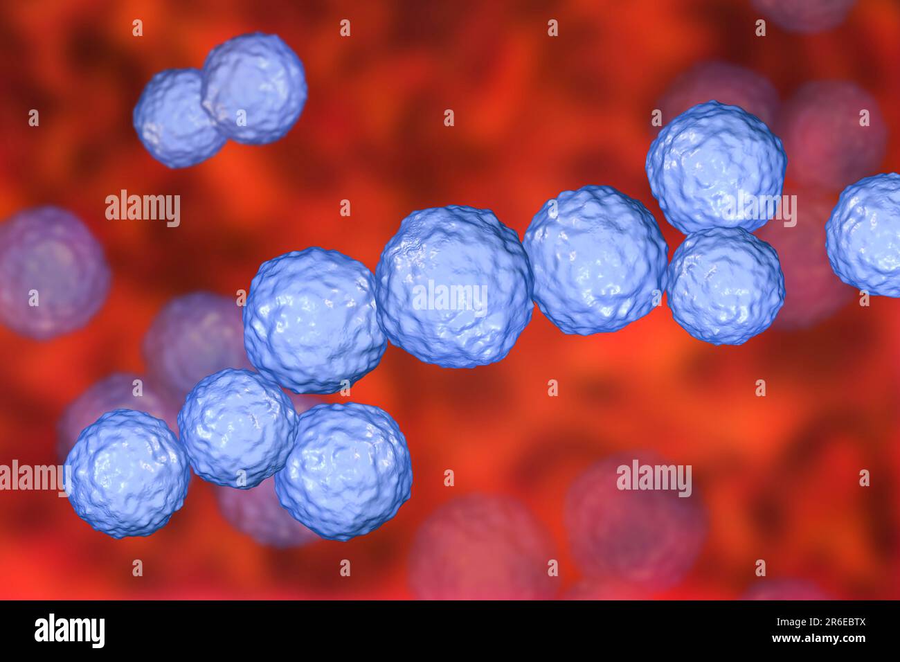 Enterococcus Faecalis Computer Illustration Of Enterococcus Faecalis