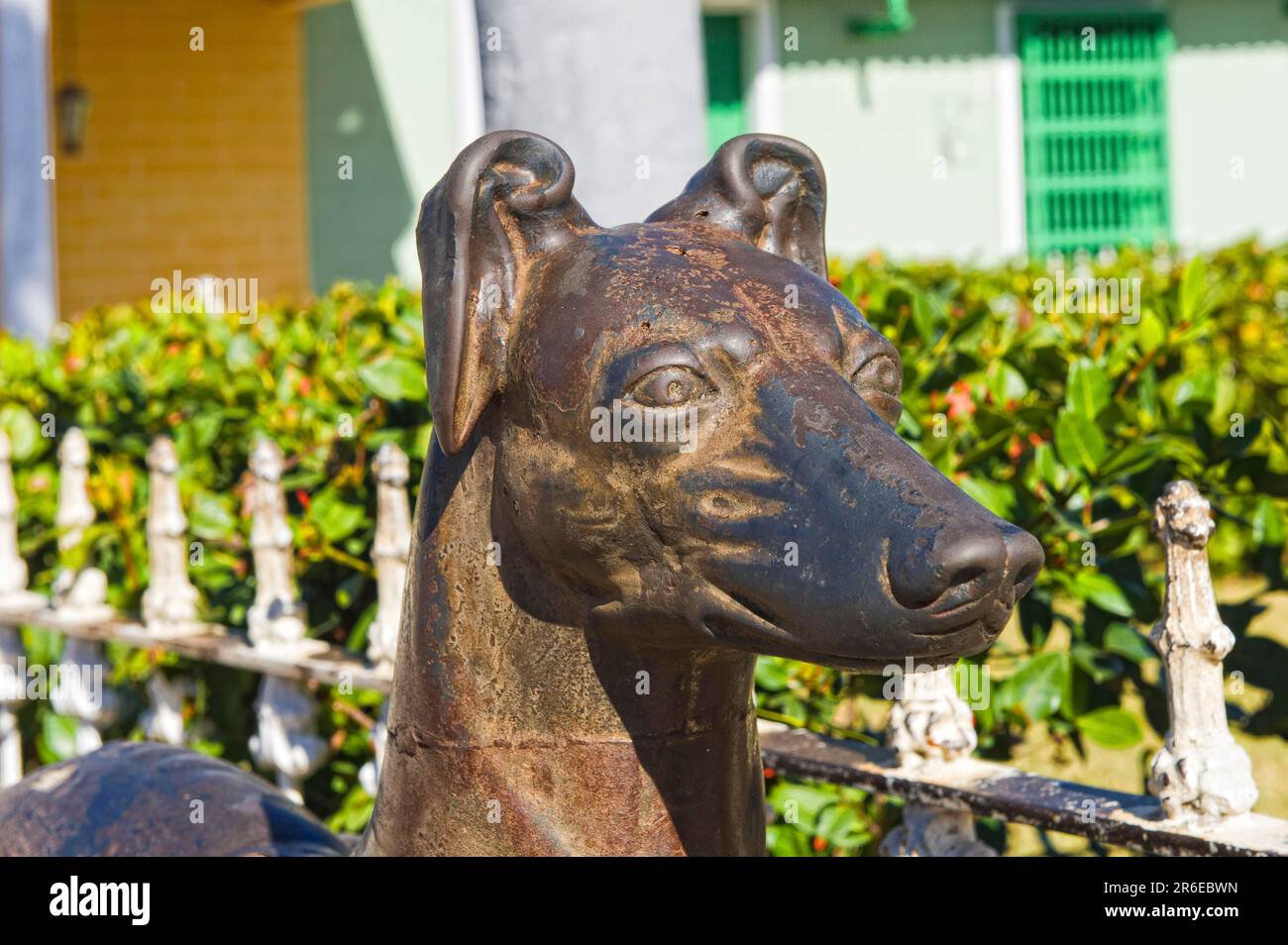 Bronze statue of Greyhound, Trinidad, Sancti Spiritus Province, Cuba ...
