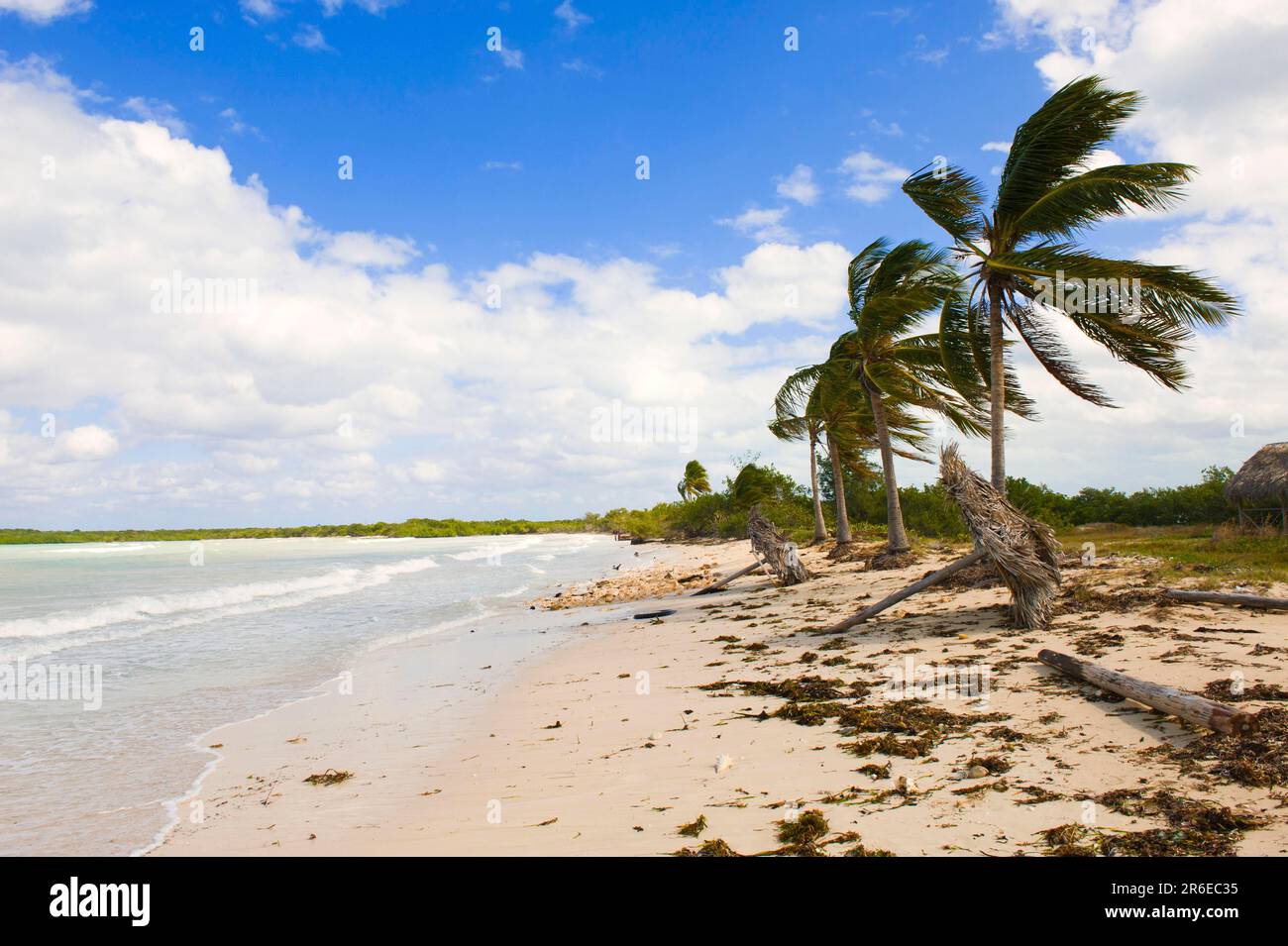 Cayo las Brujas, Beach, Santa Clara Province, Cuba Stock Photo - Alamy