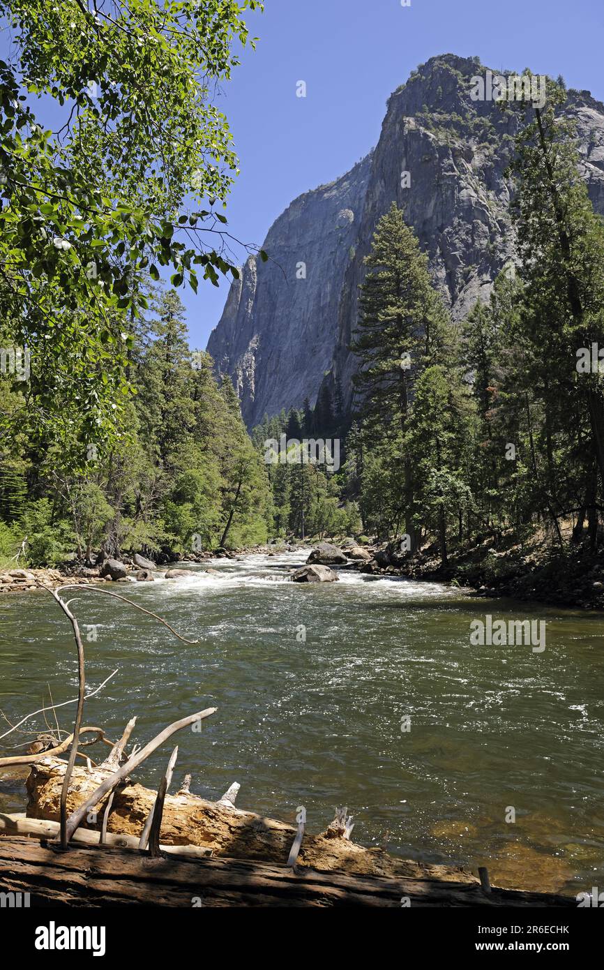 Merced River, Yosemite National Park, California, USA, Merced River ...