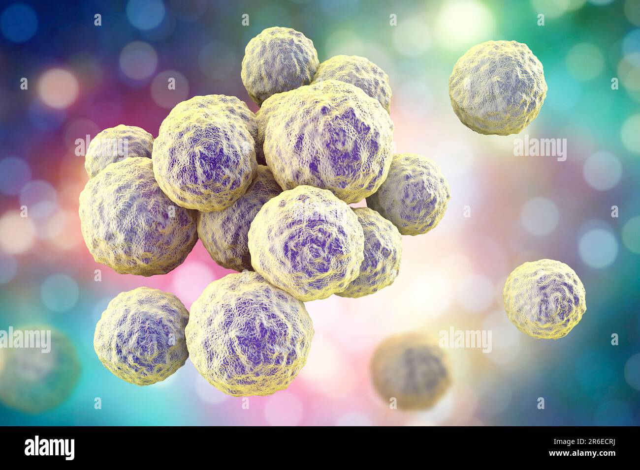 MRSA bacteria. Computer artwork of methicillin-resistant Staphylococcus ...