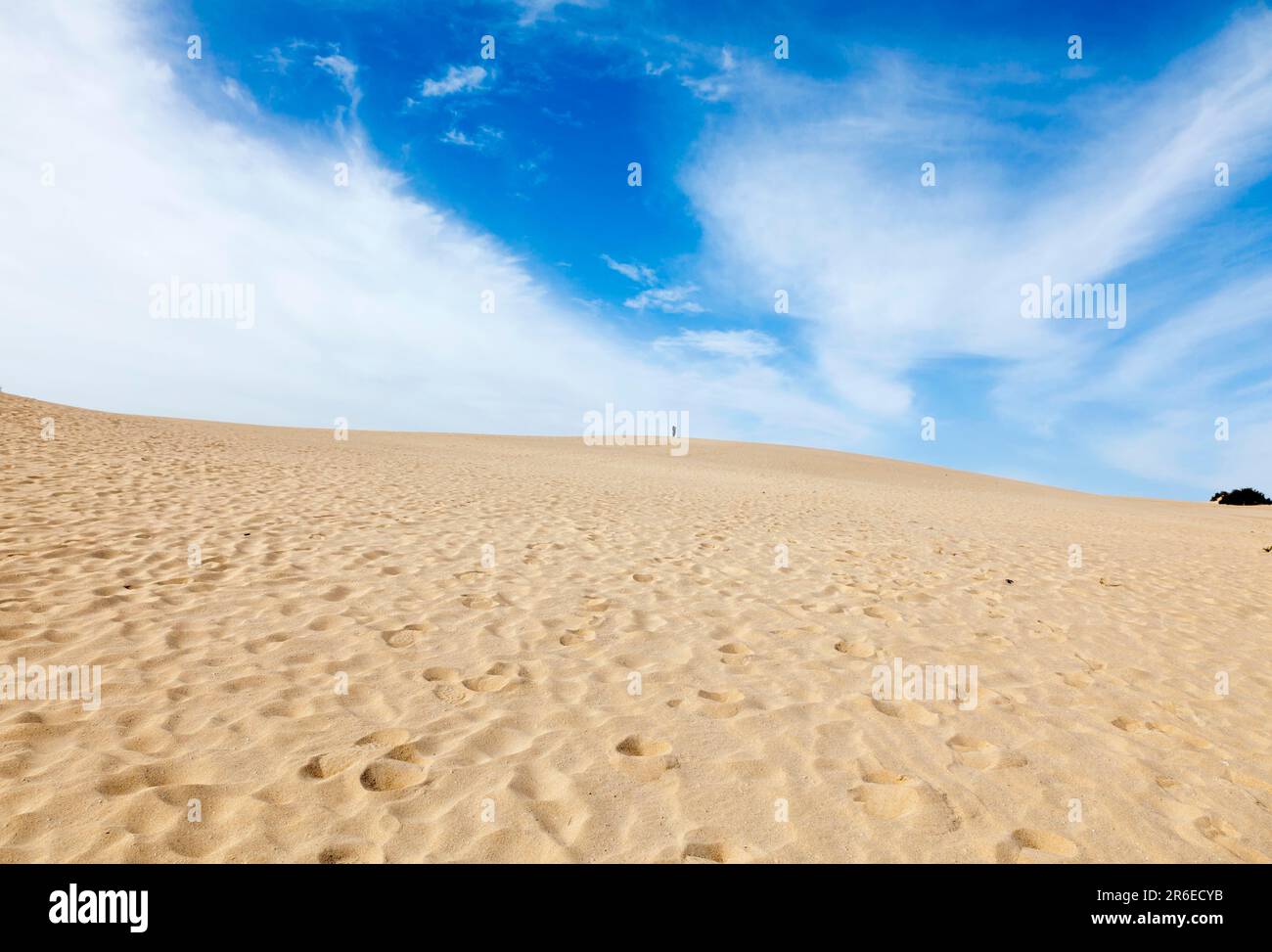 In the dunes of El Jable Stock Photo - Alamy