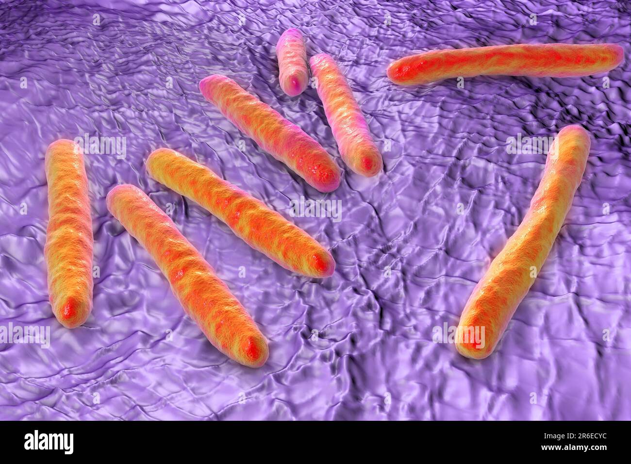Tuberculosis bacteria. Computer artwork of Mycobacterium tuberculosis ...