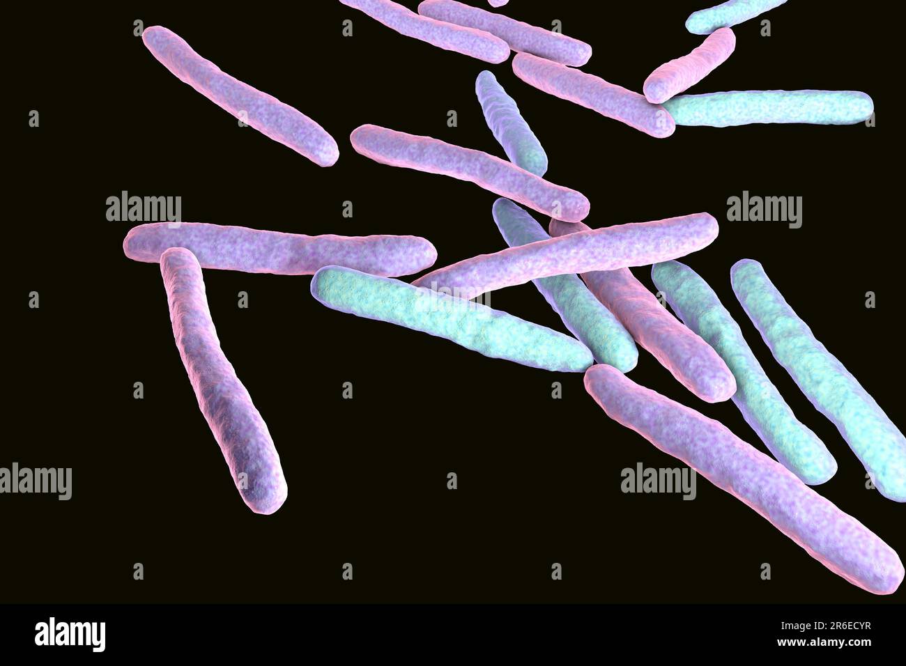 Tuberculosis bacteria. Computer artwork of Mycobacterium tuberculosis bacteria, the Gram ...