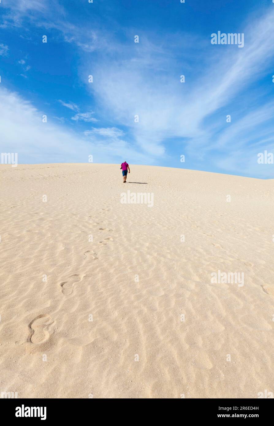 In the dunes of El Jable Stock Photo - Alamy