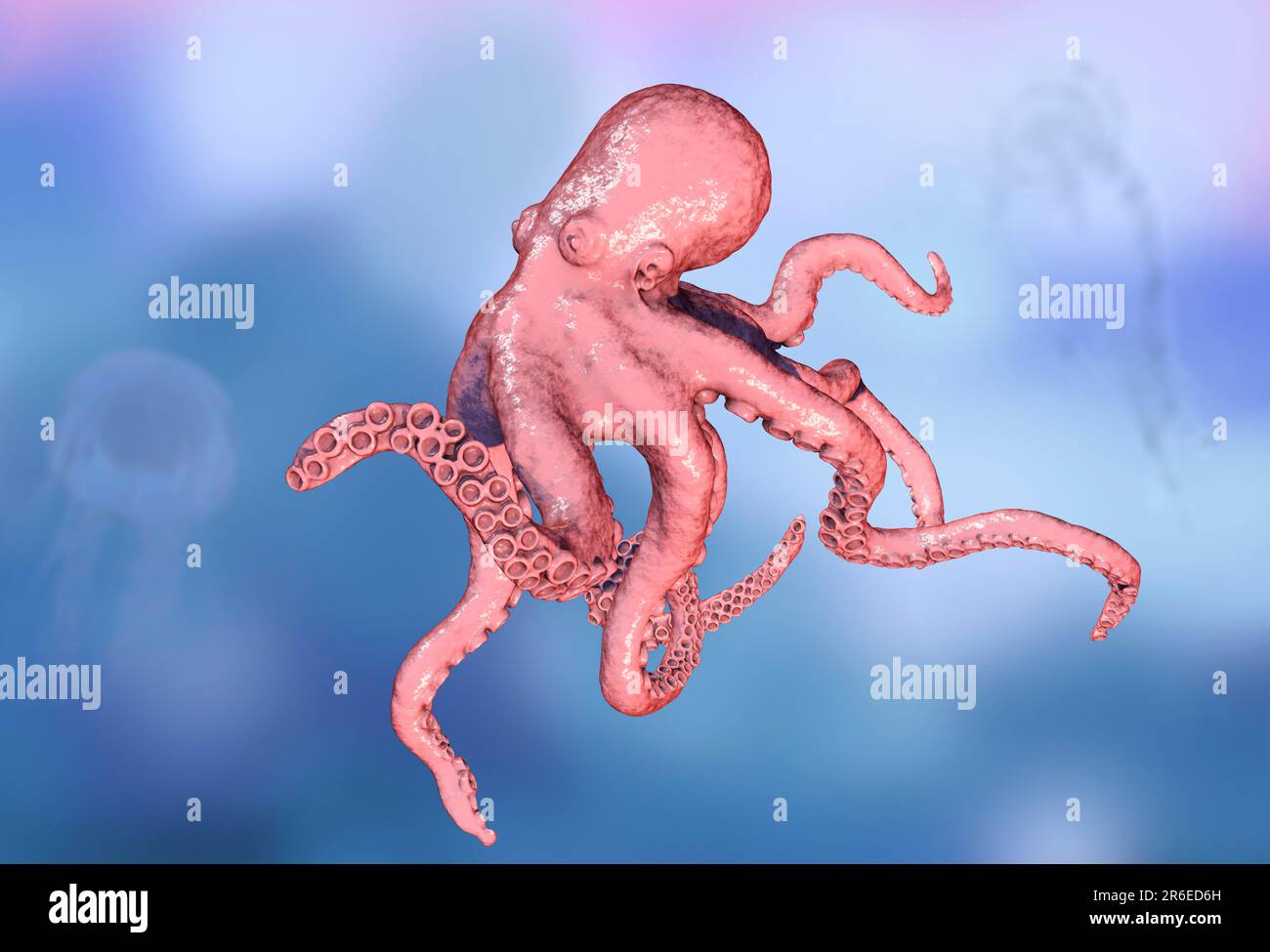 Octopus, computer illustration Stock Photo - Alamy