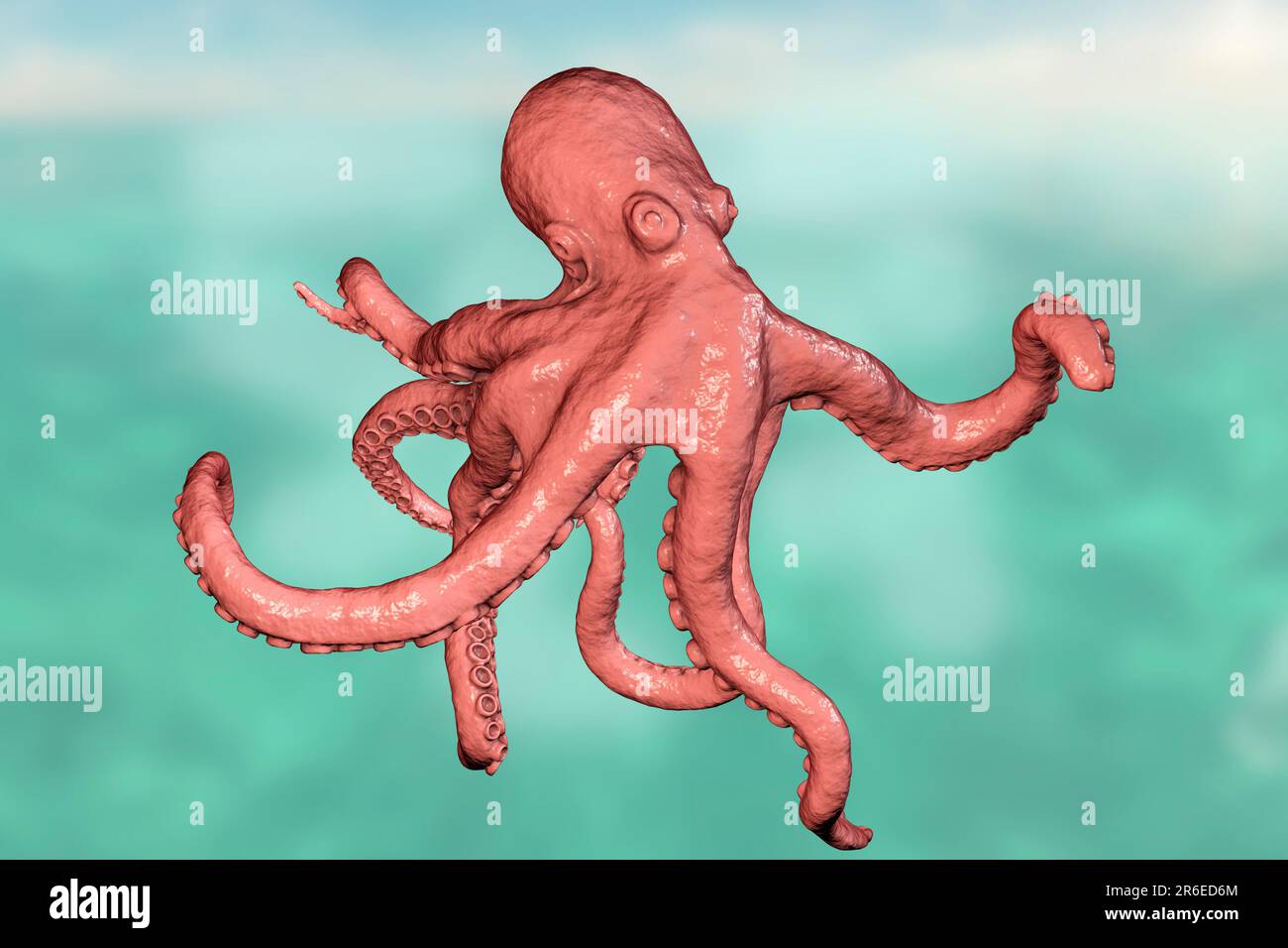 Octopus, computer illustration Stock Photo - Alamy