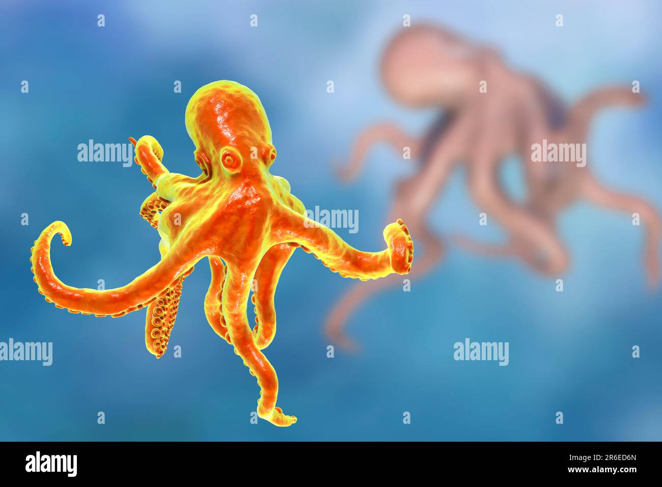 Octopus, computer illustration Stock Photo - Alamy