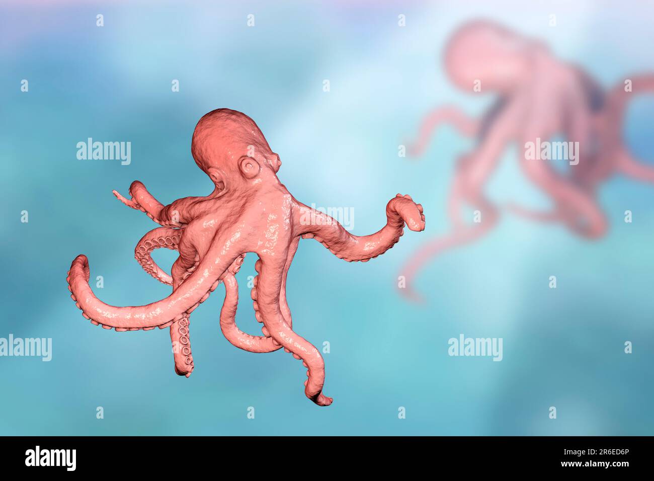 Octopus, computer illustration Stock Photo - Alamy