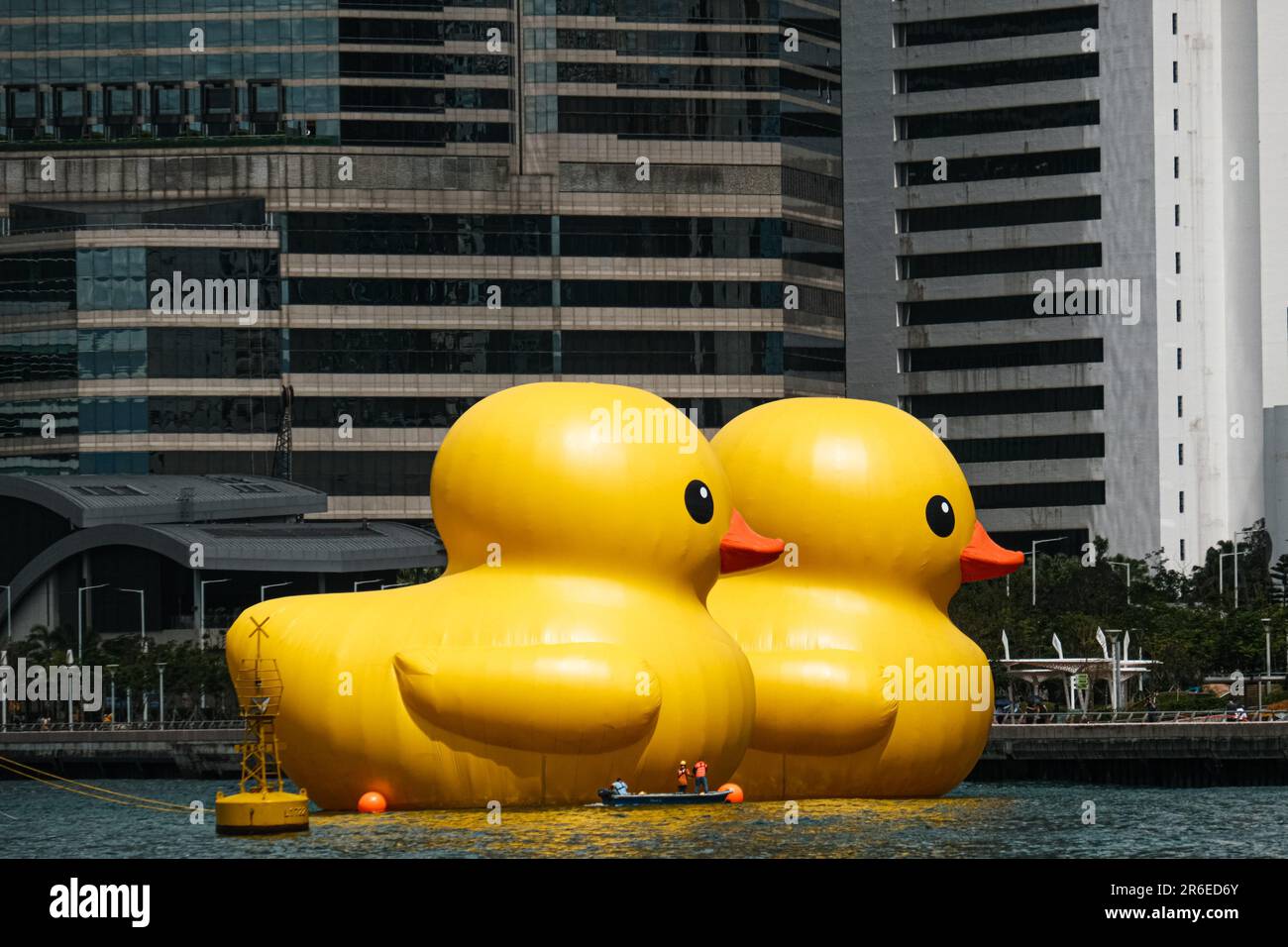 Hong Kong, China. 9th June, 2023. Two giant Inflatable Rubber Rucks are ...