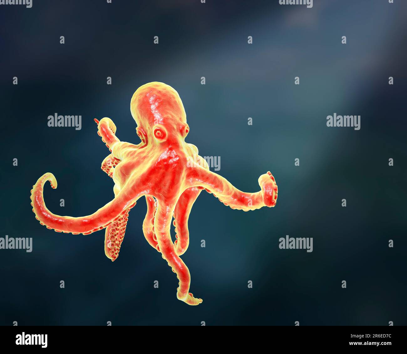 Octopus, computer illustration Stock Photo - Alamy