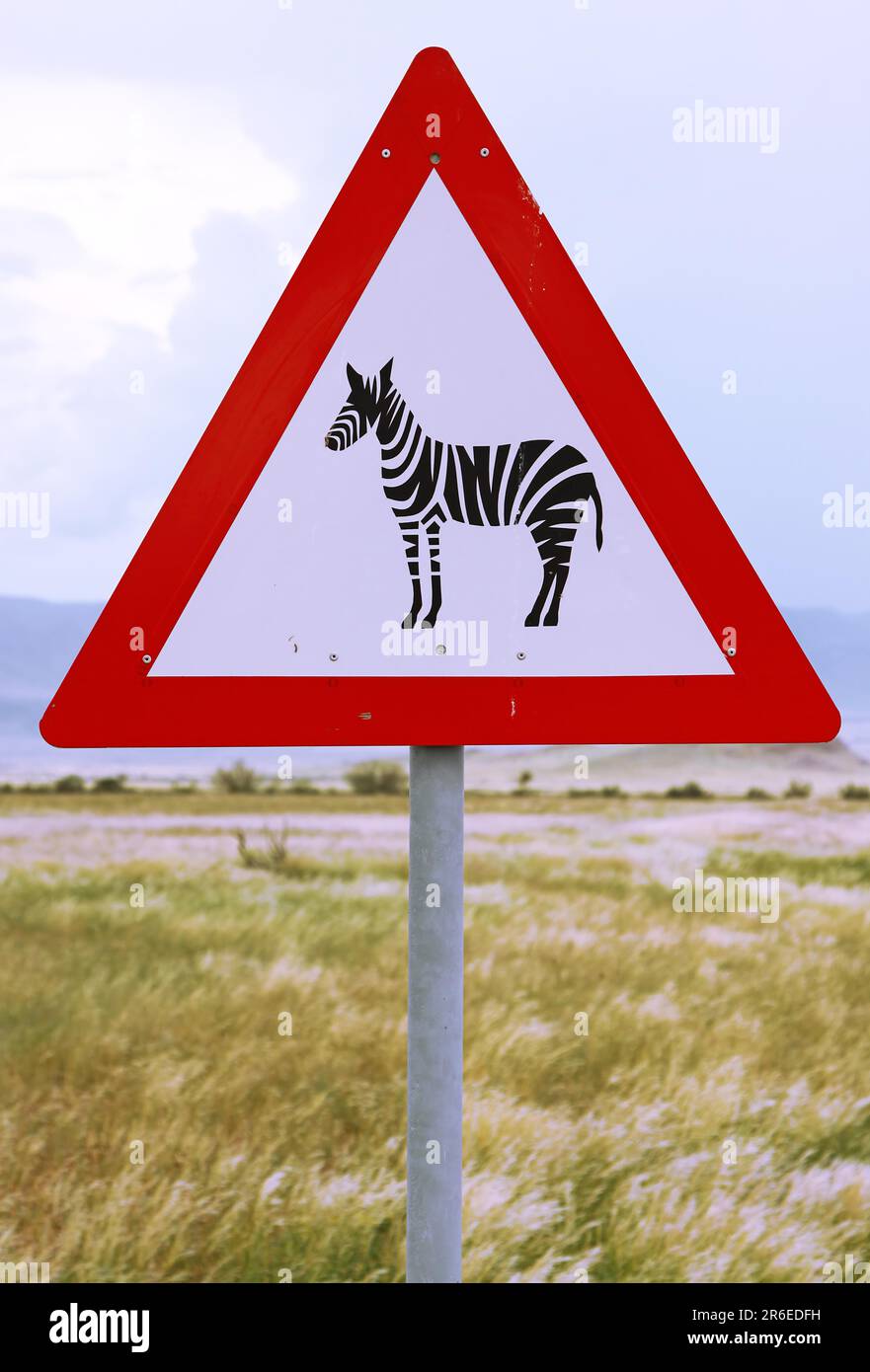 Warning sign Zebra game change in Namibia, signpost at a street in ...