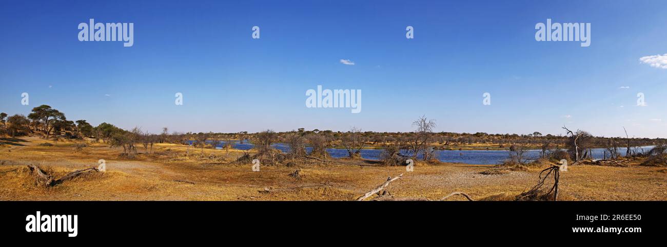 Landscape in the Makgadikgadi Pans National Park at the Boteti ...